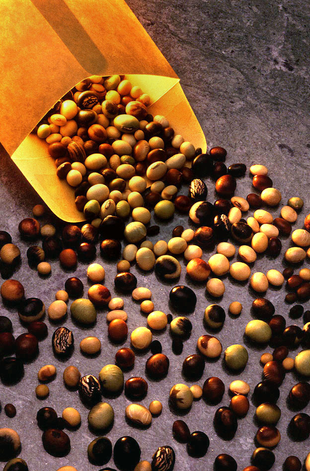 Building a better soybean for a hot, dry, hungry world - NASA Science