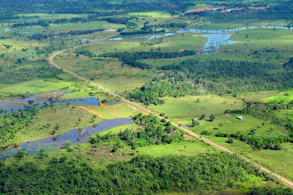 Examining the Viability of Planting Trees to Help Mitigate Climate ...