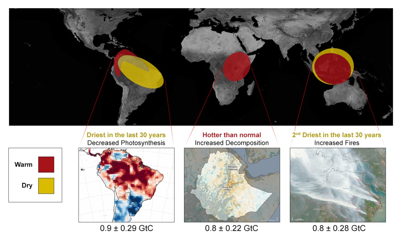 The Atmosphere: Getting a Handle on Carbon Dioxide - NASA Science