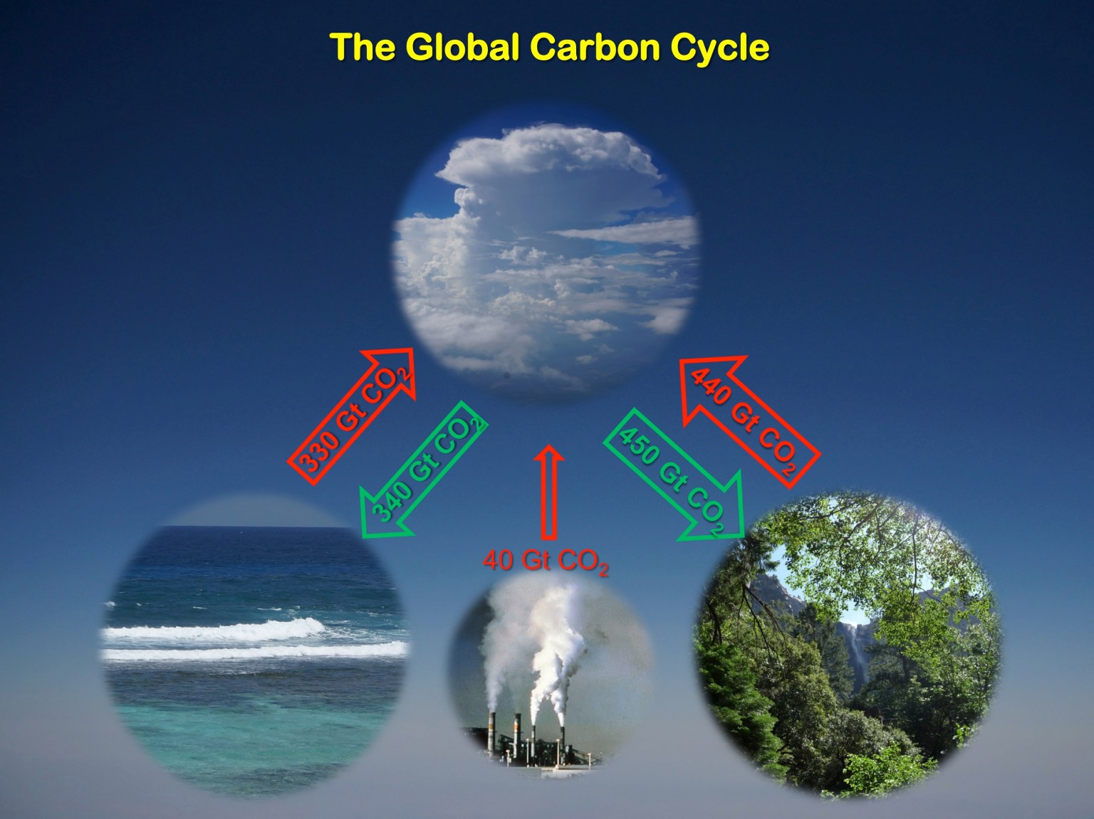 Examining the Viability of Planting Trees to Help Mitigate Climate ...