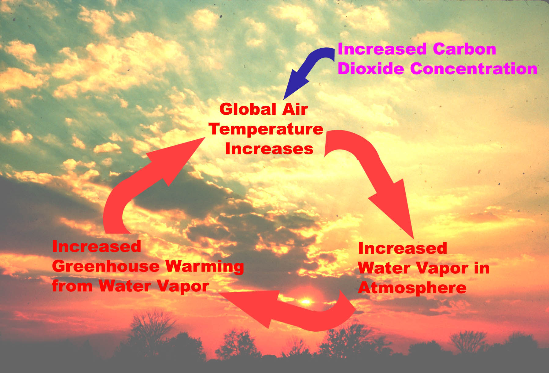 Steamy Relationships: How Atmospheric Water Vapor Amplifies Earth's ...