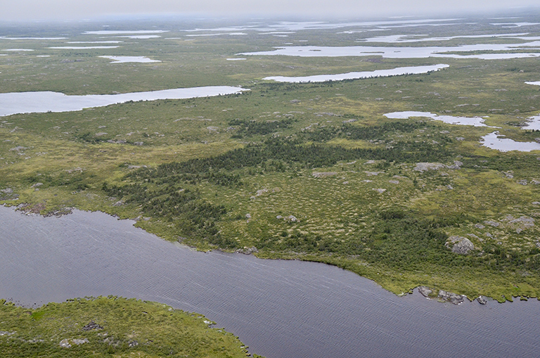 NASA studies details of a greening Arctic - NASA Science