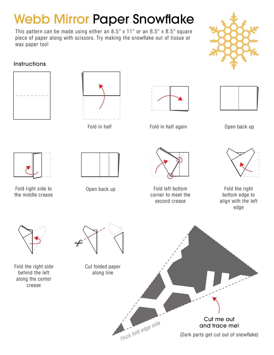 Webb Paper Snowflake - NASA Science