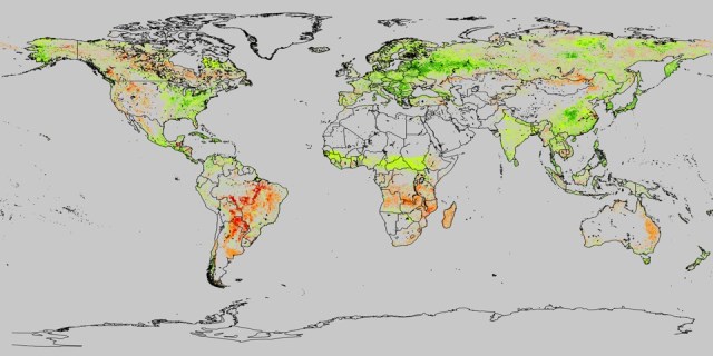 Examining the Viability of Planting Trees to Help Mitigate Climate ...