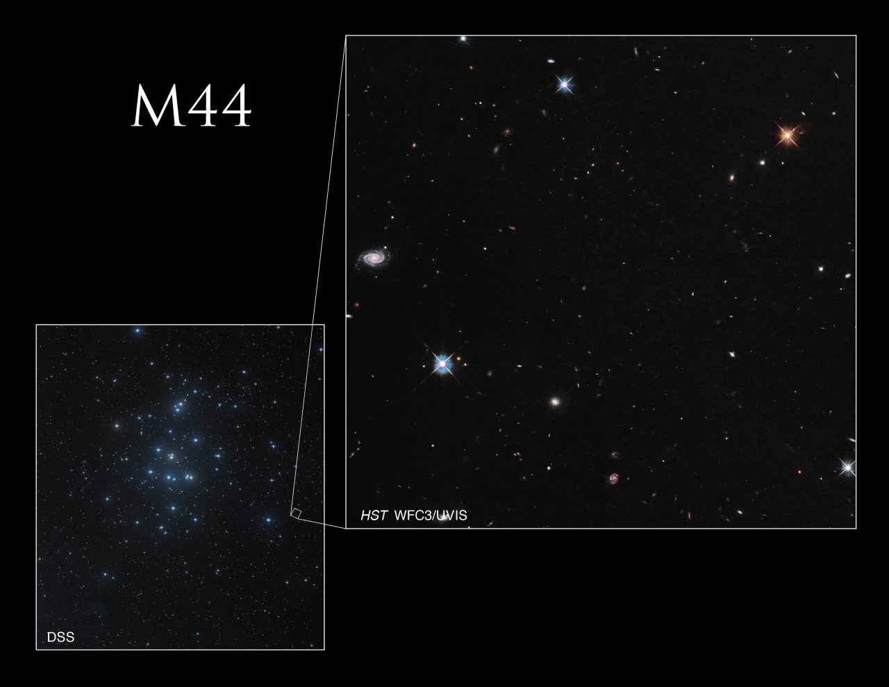 Messier 44 - NASA Science