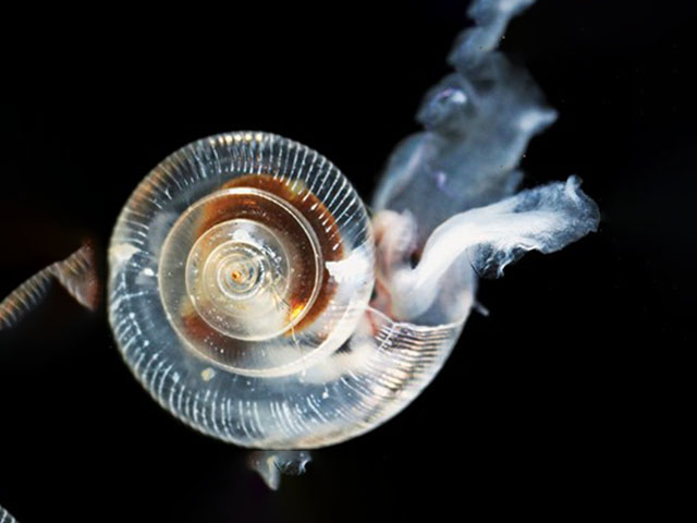 Evidence - NASA Science