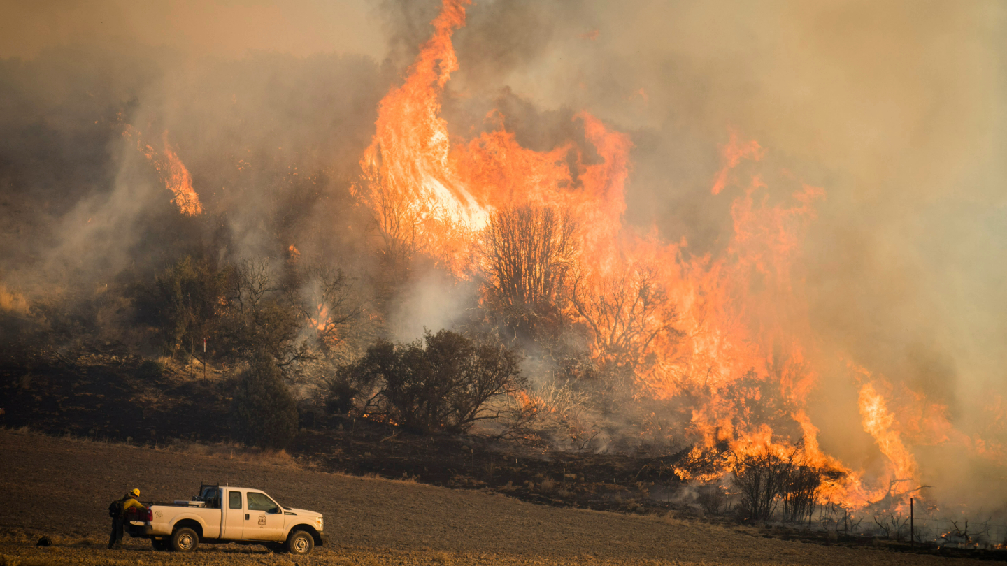 NASA Data Shows How Drought Changes Wildfire Recovery in the West ...