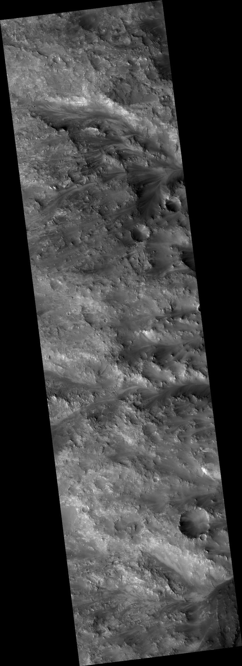 Syrtis Major Region - NASA Science