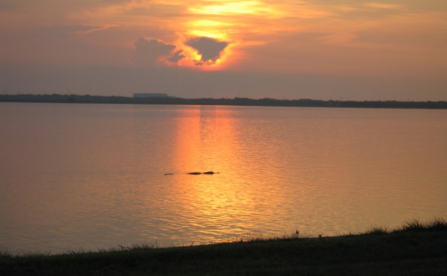 Gator Wakes for Launch - NASA Science