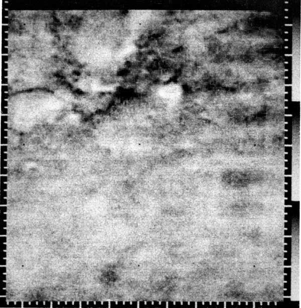 Mariner 4 Image of The Orcus Patera Region on Mars - NASA Science