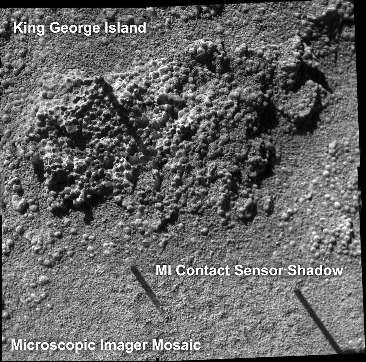 King George Island' Brushed - NASA Science