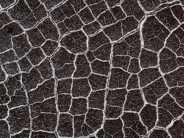 Polygonal Patterned Ground - NASA Science