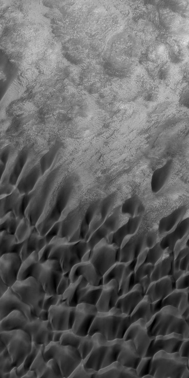 Aonia Terra Dune Field - NASA Science