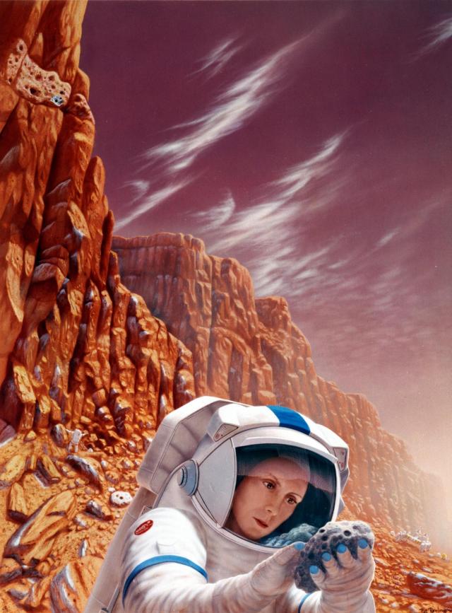 Seeking Evidence for Life - NASA Science