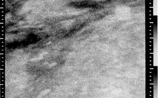 Mariner 4 Image of the Area between Elysium and Amazonis Planitia on ...