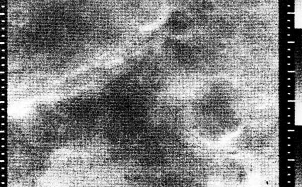 Light crater rims in the southern highlands of Mars - NASA Science