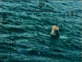 Orion Splashed Down - NASA Science