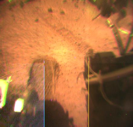 Rover Wheel & Tracks - Color - NASA Science