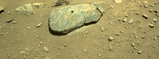 Mars Rock Samples - NASA Science