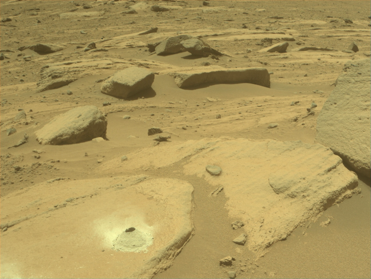 Mars Rock Samples Collected by Perseverance Rover - NASA Science