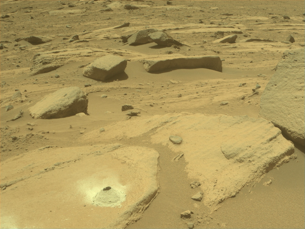 Mars Rock Samples Collected by Perseverance Rover - NASA Science
