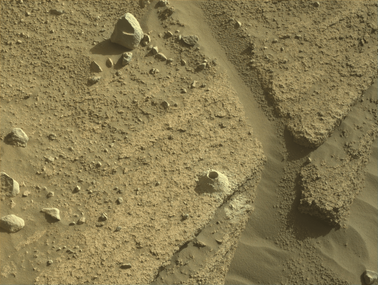 Mars Rock Samples Collected by Perseverance Rover - NASA Science