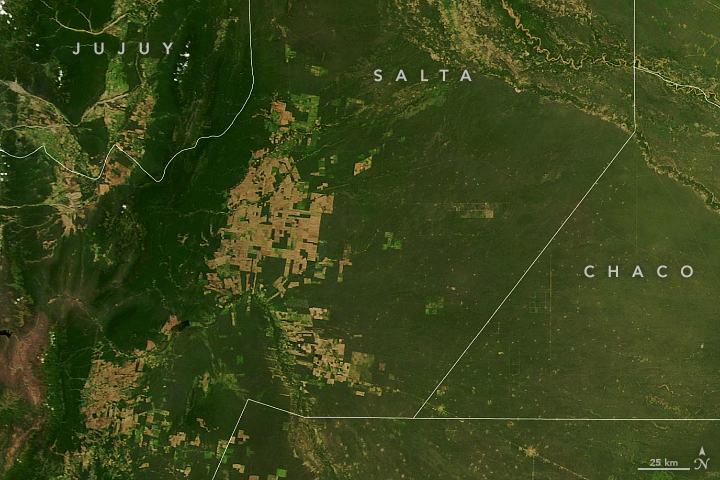 NASA Is Helping Protect Tigers, Jaguars, and Elephants. Here’s How ...