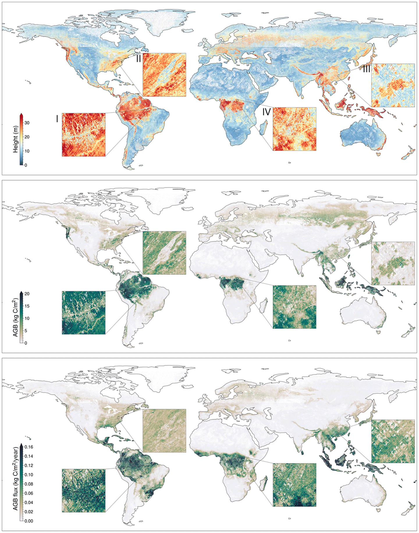 Summary of the 2023 GEDI Science Team Meeting - NASA Science