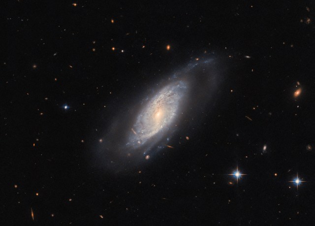 NASA Astrophysics - NASA Science