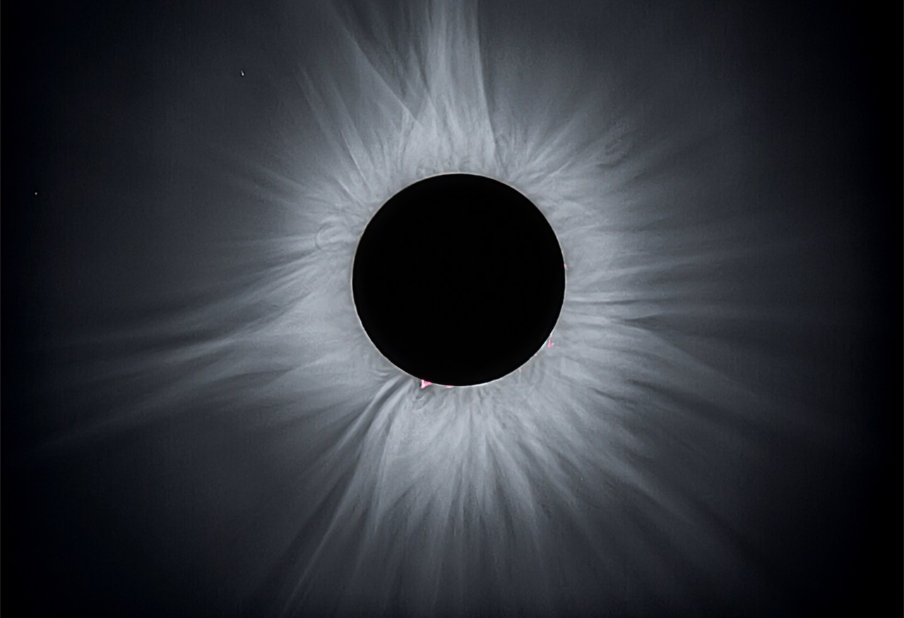 An Eclipse Megamovie Megastar - NASA Science