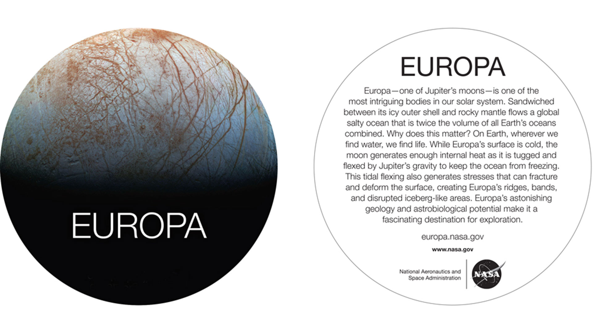 Europa Moon Sticker (English) - NASA Science