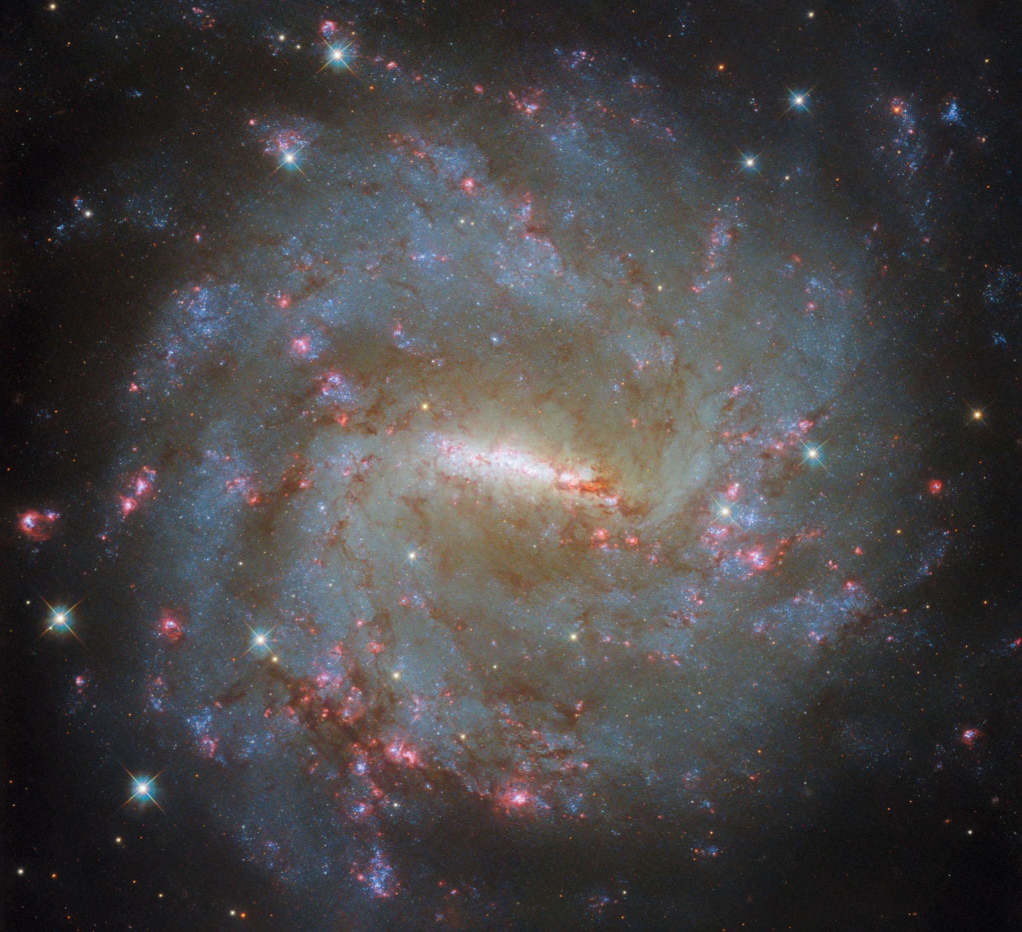 Hubble Examines a Barred Spiral’s Light - NASA Science