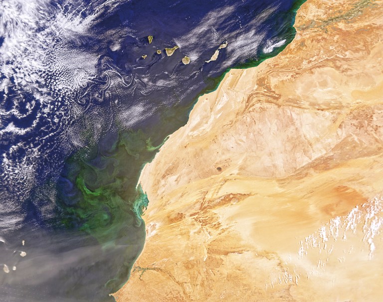2025 NASA Science Calendar - NASA Science