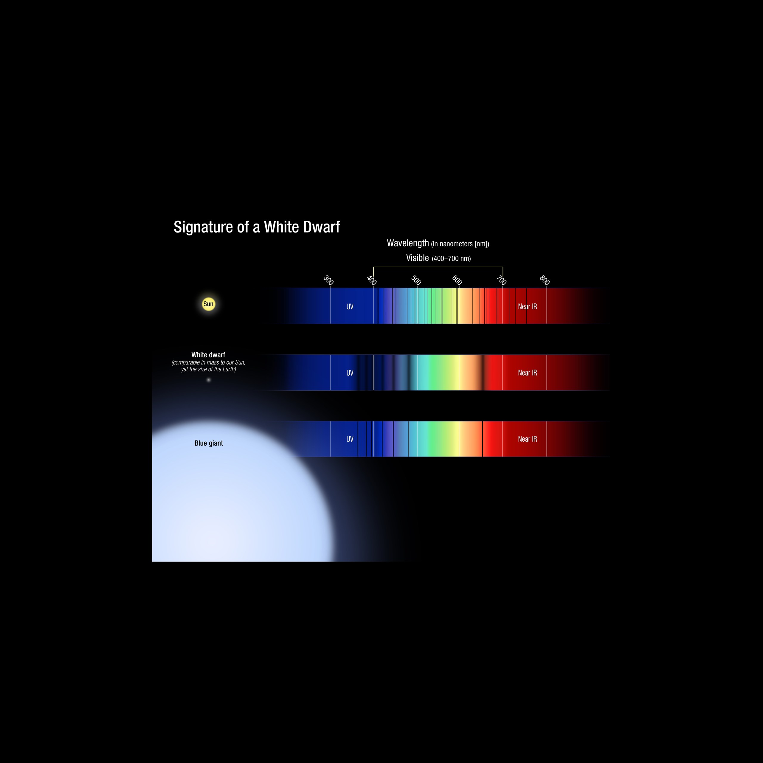 Hubble Spectroscopy - NASA Science