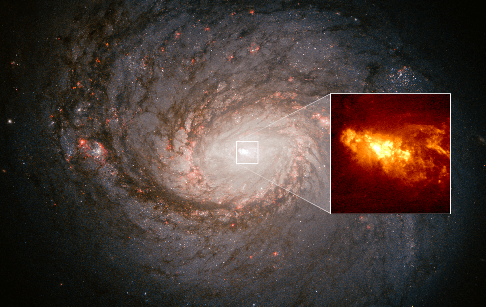 Active Galaxy NGC 1068 - NASA Science