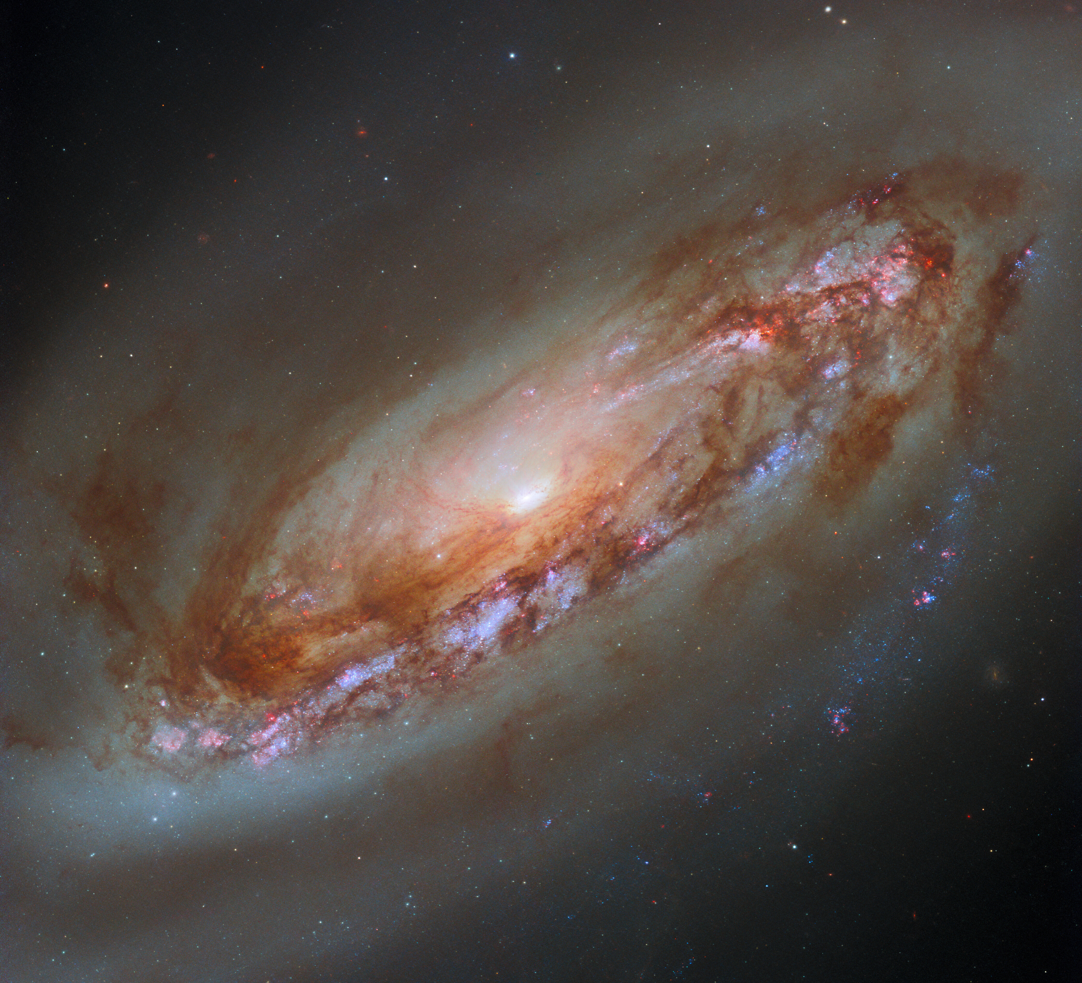 Hubble Captures a New View of Galaxy M90 - NASA Science