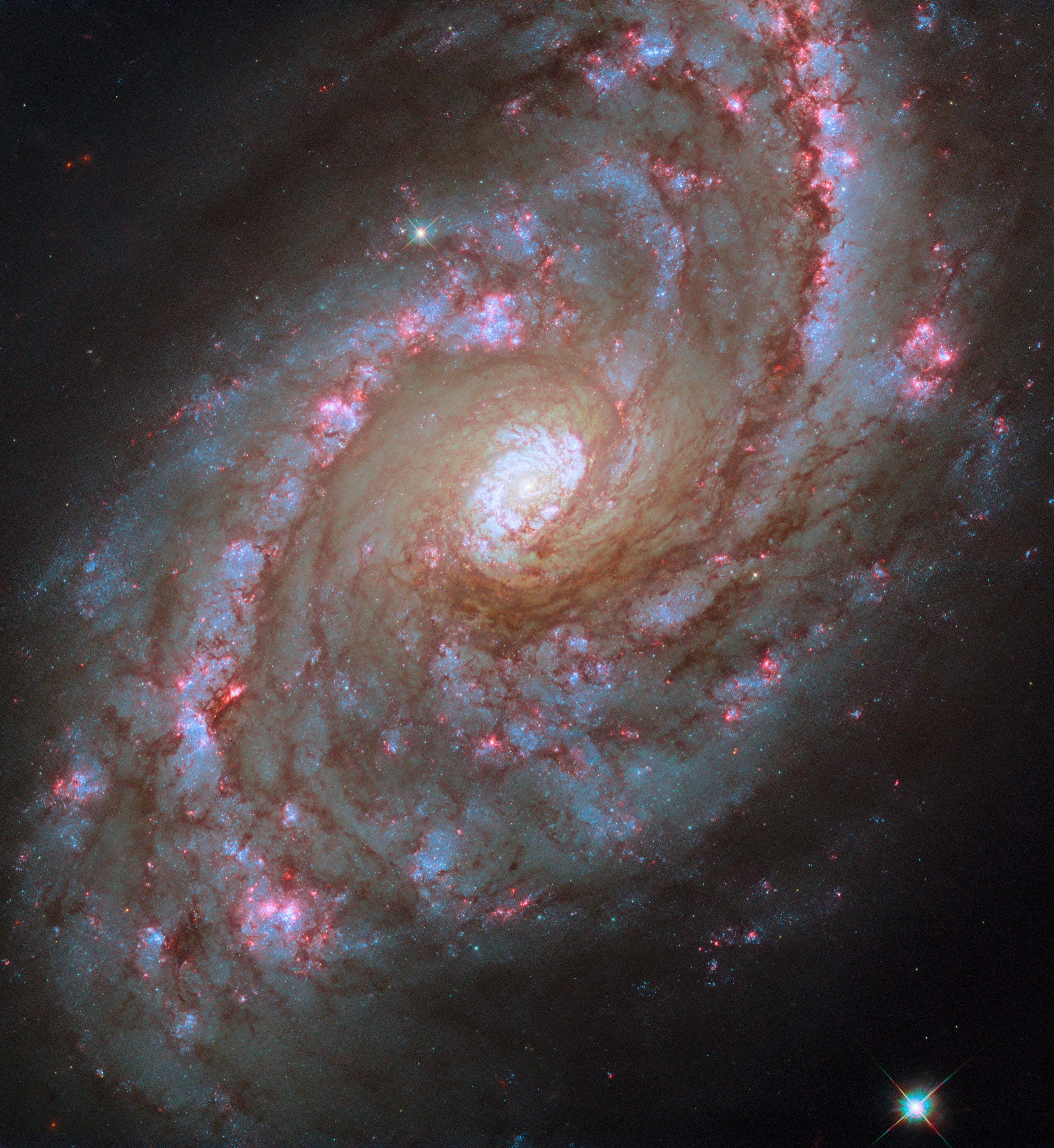 Hubble Spots a Grand Spiral of Starbursts - NASA Science