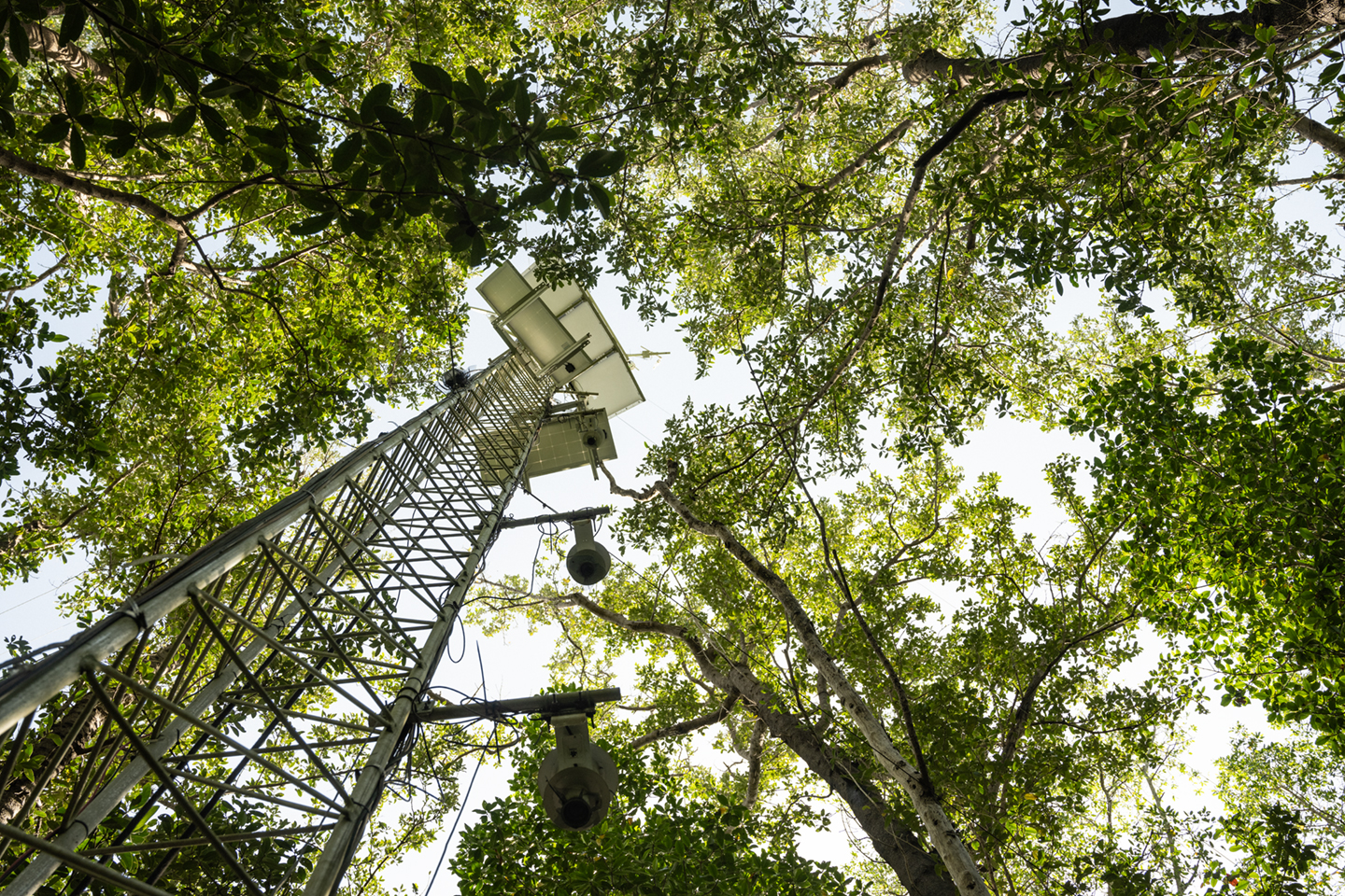 NASA Data Supports Everglades Restoration - NASA Science