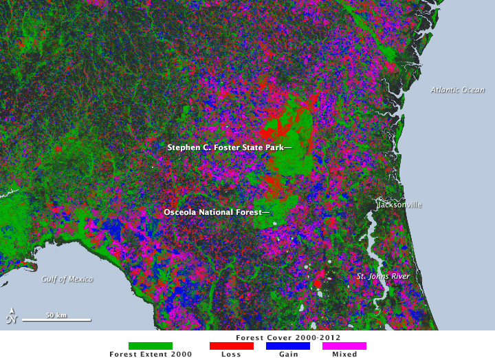 New Map Yields Better View of Forest Changes - NASA Science