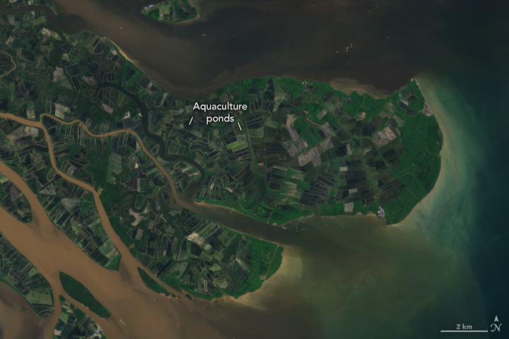 Indonesia’s Mahakam Delta - NASA Science