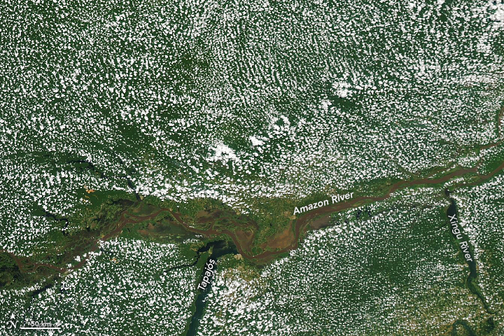 Mapping the Amazon - NASA Science